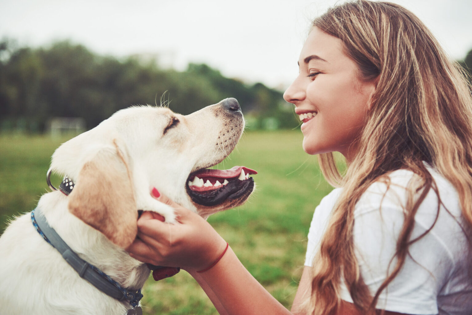 Understanding Animal STDs: A Guide to Infections in Pets & Wildlife